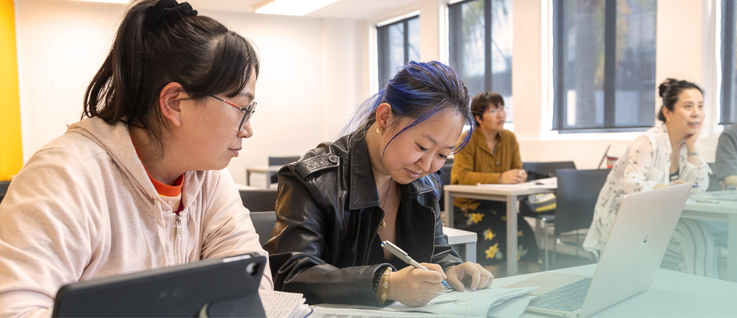 Programmes - Future Skills